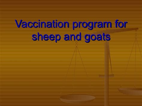 Vaccination Program For Sheep And Goats
