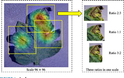 Figure 4 From Self Supervised Collaborative Multi Network For Fine Grained Visual Categorization