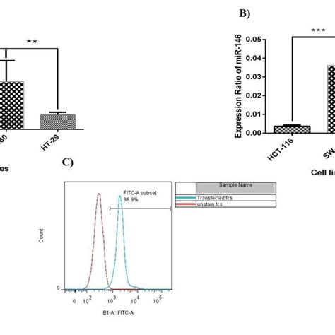 Relative Expression Levels Of Mir 193a 5p A And Mir 146a 5p B In