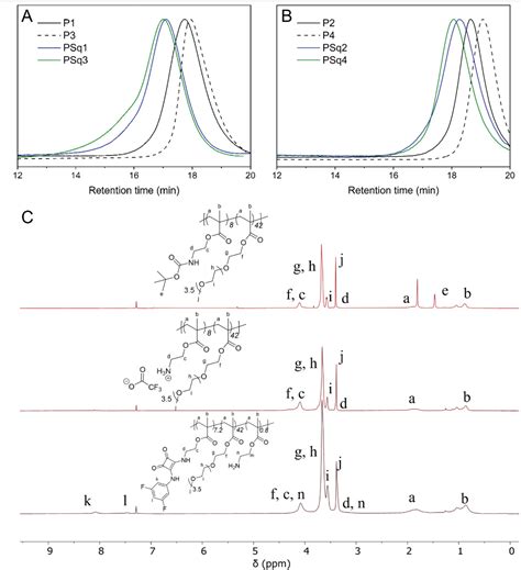 Water‐soluble Squaramide‐functionalized Copolymers For Anion Recognition Lane Macromolecular