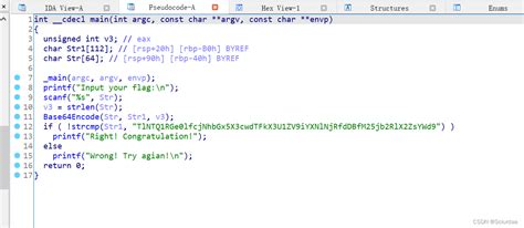 2023年swpu Nss 秋季招新赛 Ctf Reverse‘方向wp详解 Swpuctf 2023 秋季新生赛 Junk Code Csdn博客