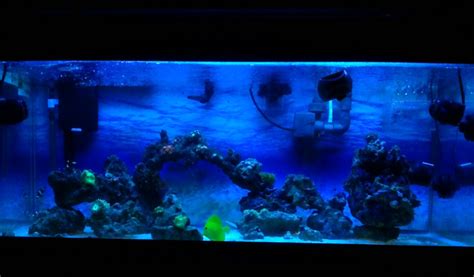 Build Thread Justin S 75 Gallon Mixed Reef Build Thread Reef2Reef