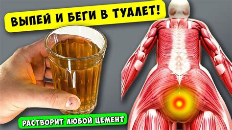 Кал Вылетит СРАЗУ, стоит только… Как очистить Кишечник и избавиться от ...
