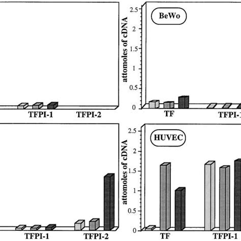 Detection Of Tf Tfpi 1 Tfpi 2 And Gapdh Mrna In Jar Bewo And Jeg 3