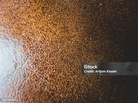Gambar Makro Dari Kulit Coklat Gelap Foto Stok Unduh Gambar Sekarang