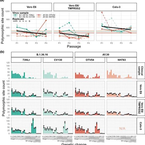 Sars Cov 2 Serial Propagation Experiments Qrt Pcr Cycle Threshold C