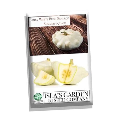 How To Cook White Squash Recipes Metro Cooking Dallas