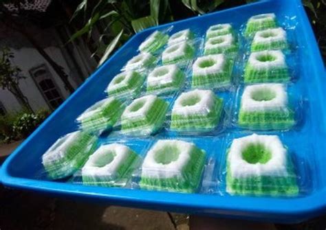 Resep Kue Putu Ayu Oleh Kayla Putri Cookpad