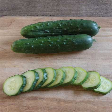 The General F1 Cucumber Seed Johnny S Selected Seeds