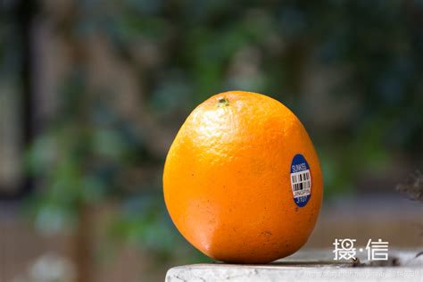 焦距、光圈和景深的关系and实拍图像光圈景深对照表 Csdn博客