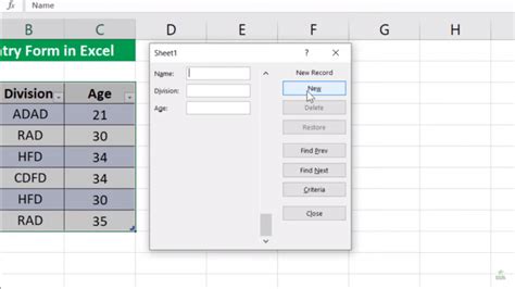 how to use hidden entry data form in excel excel in hindi
