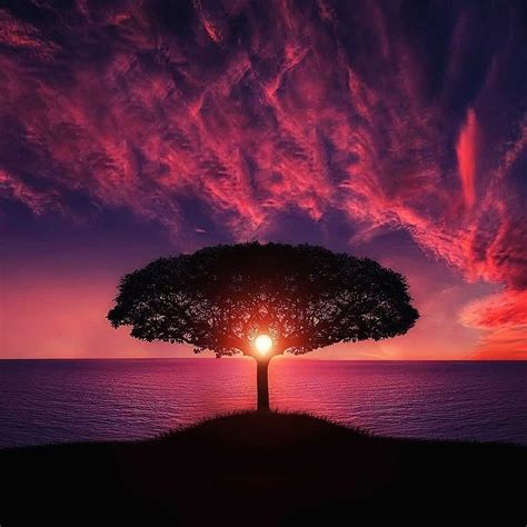 Imagenes Gratis
