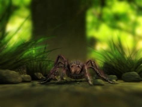 Amazing 3d Walking Spider Screensaver Full ~ My Software Market