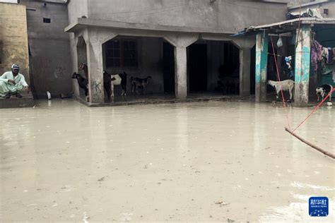 巴基斯坦暴雨造成至少30人死亡 新華網
