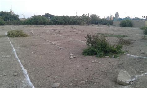 VENDO LOTES DE TERRENOS EN LOMO LARGO SUNAMPE CHINCHA TEV