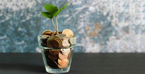 Balancing Cost And Functionality Choosing The Best Software For Your Business