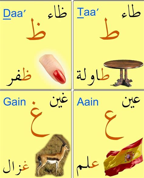Images By User On Arabic Language And Culture B56
