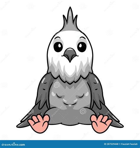 Cute Whiteface Cockatiel Bird Cartoon Stock Vector Illustration Of