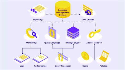 Database Vs Data Warehouse Jonas Cleveland