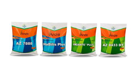 About Arize