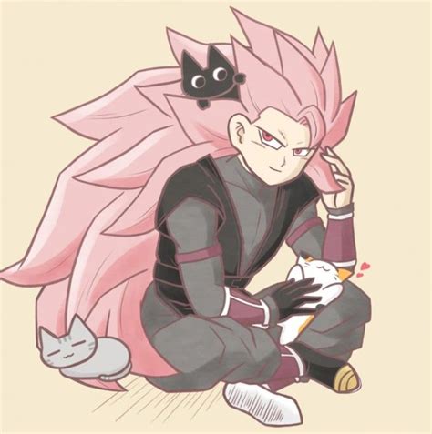 Black Goku Dragon Ball Art Dragon Ball Super Dark Warrior Best