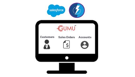 Erp Salesforce Integration With Gumu™ Greytrix By Greytrix Nov