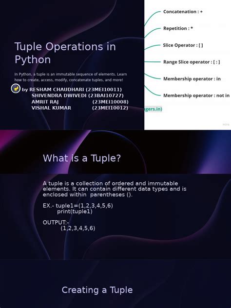 tuple operations in python[1] pdf programming paradigms computing