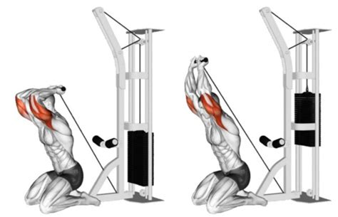 How To Do Overhead Cable Tricep Extension Properly