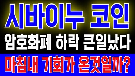 시바이누 코인 암호화폐 하락 큰일났다 마침내 기회가 온것일까 Youtube