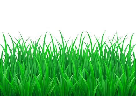 Watercolor 3d Cute Grass Png Free File Graphic By Stockmarket