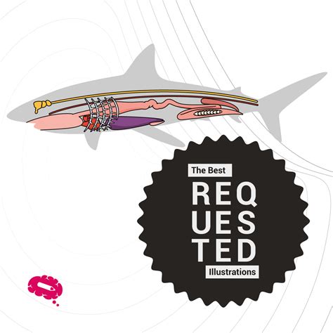 Mind The Graph Did You Know You Can Request On Demand