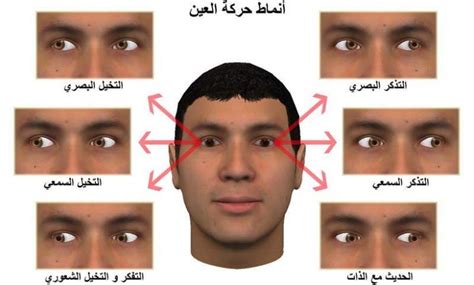 لغة الجسد وعلاقتها بالتعرف على نمط الشخصية وتحليلها مدونة فسرلي