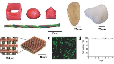 Tough Hydrogels Encapsalate Cells For Use In 3d Bioprinting