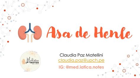 Asa De Henle CLAUDIA MERCEDES PAZ MATELLINI UDocz