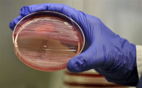 Nuevos Antibióticos Tres Buenas Noticias En La Guerra Contra Las