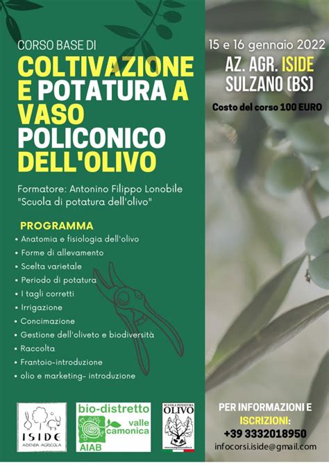 Corso Base Di Coltivazione E Potatura A Vaso Policonico Dell Olivo