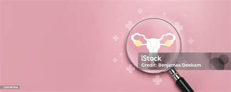 건강한 여성다운 컨셉 돋보기 초점 관리 건강 검진 자궁 장기 자궁 생식 기관 검진 여성 건강 다낭 증후군 난소 암 치료 및 검사