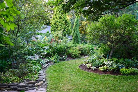 A New Favorite Garden