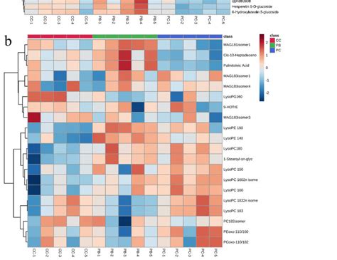 Heatmaps Of Hierarchical Cluster Analysis HCA A Flavonoids B