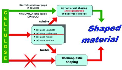 4 Technological Approach For Cellulose Processing [13] Download Scientific Diagram