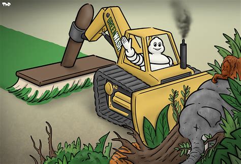Deforestación Antes Y Después Del Dibujo