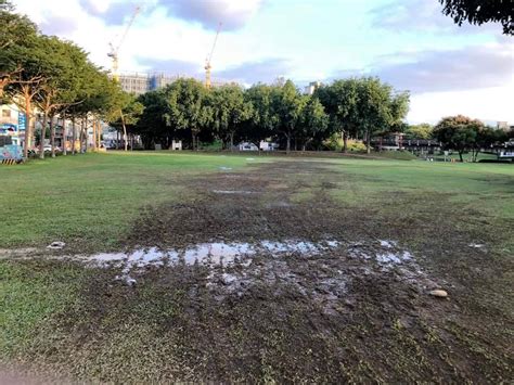 張善政不善後？造勢完公園草地爛、帆布未收 綠營揭民怨 政治快訊 要聞 Nownews今日新聞