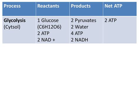 Lecture 22 Cellular Respiration Ppt Download