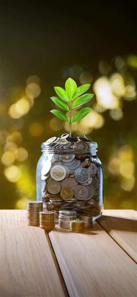 Money Plant Live Wallpaper Hd 4k Infoupdate Org