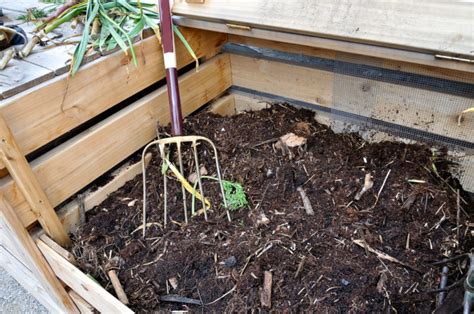 5 Composting Problems How To Fix Them Flies Stinky Compost Rodents More