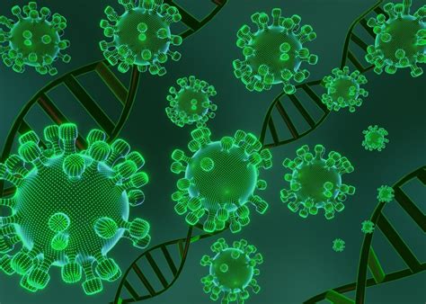 Treat Inflammatory Disorders With Tnf Alpha Antibodies