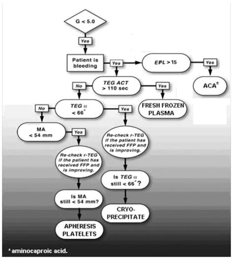 Coagulation Abnormalities In The Trauma Patient The Role Of Point Of