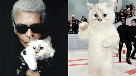为什么Jared LetoDoja CatLil Nas X要扮成猫咪出席Met Gala带你认识老佛爷爱猫Choupette