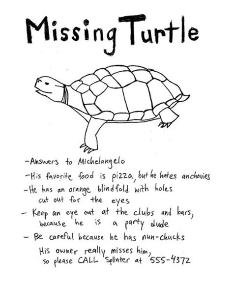 Missing Turtle Jonathan Kruse