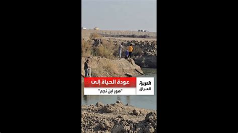 الحياة تعود إلى هور ابن نجم شرقي محافظة النجف Youtube